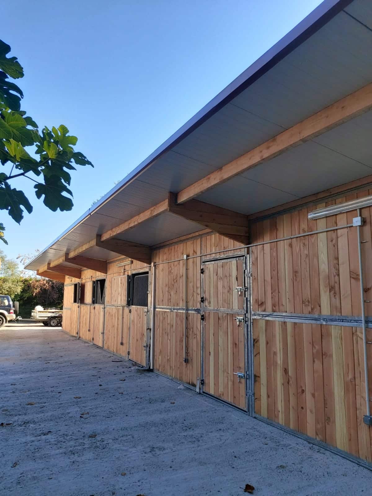 Boxes démontables en bois Douglas: robuste et facile à monter