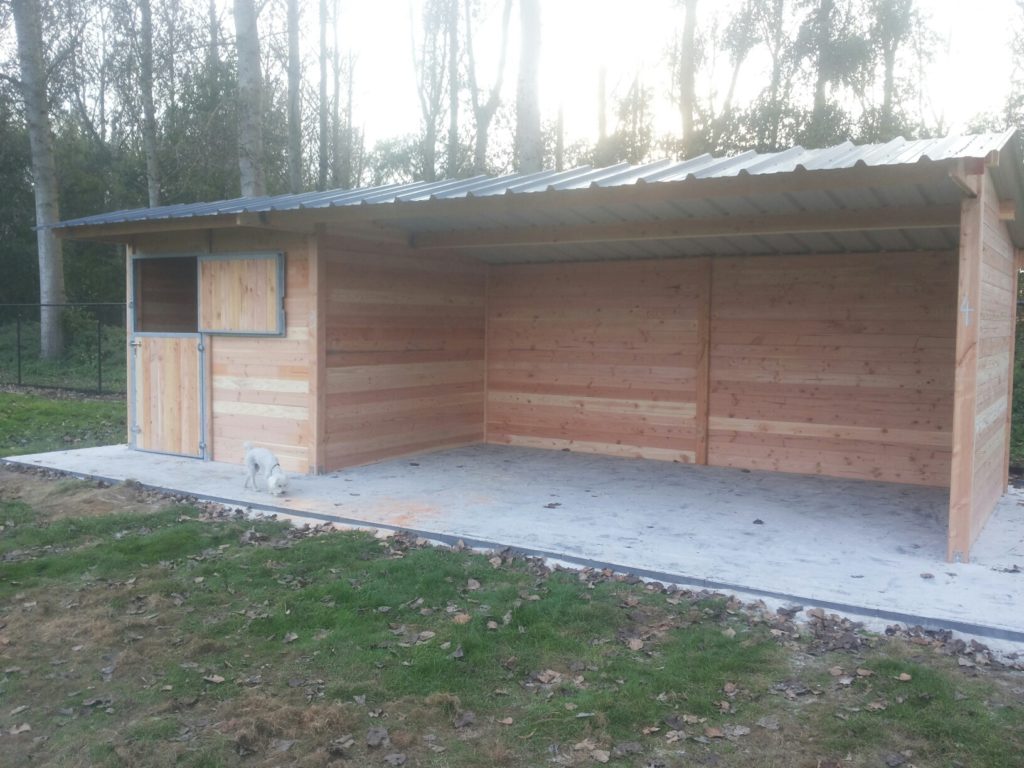Box abri chevaux - Bois Douglas - LCI Cheval