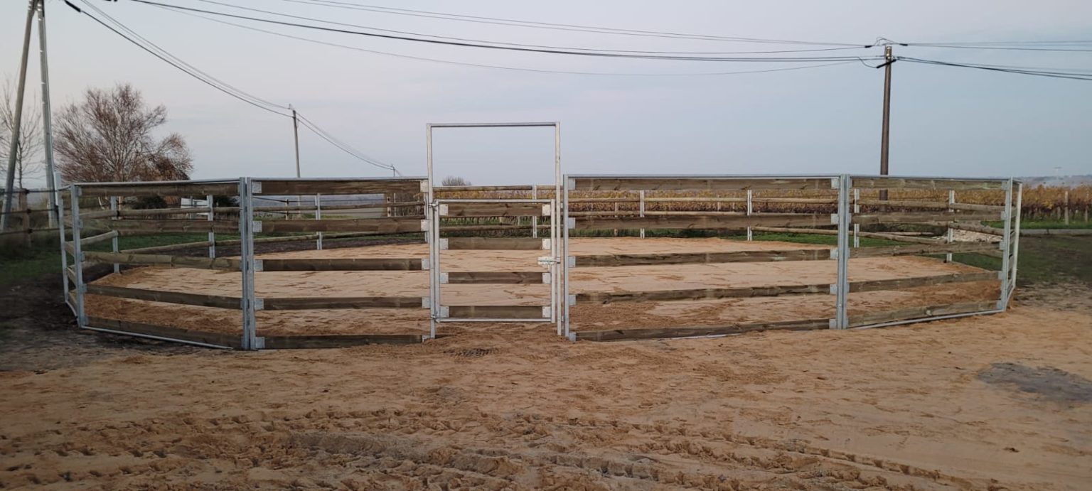 Rond de longe en bois: Solution équestre modulable