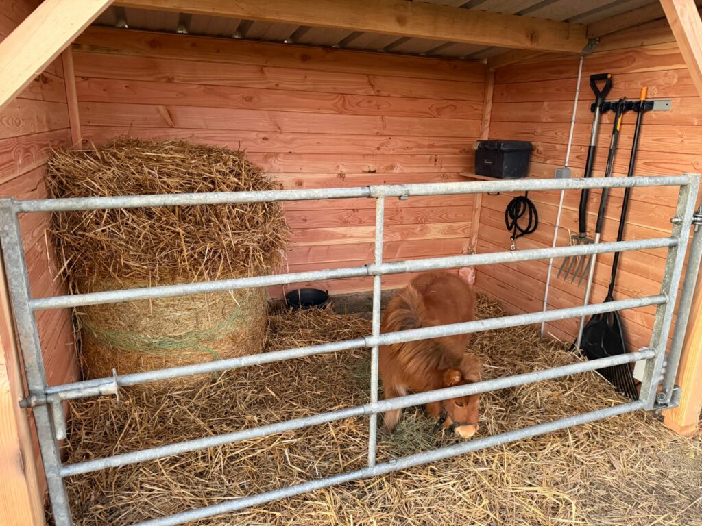Abri en bois pour chèvre ou poney : Fabrication 100% Française